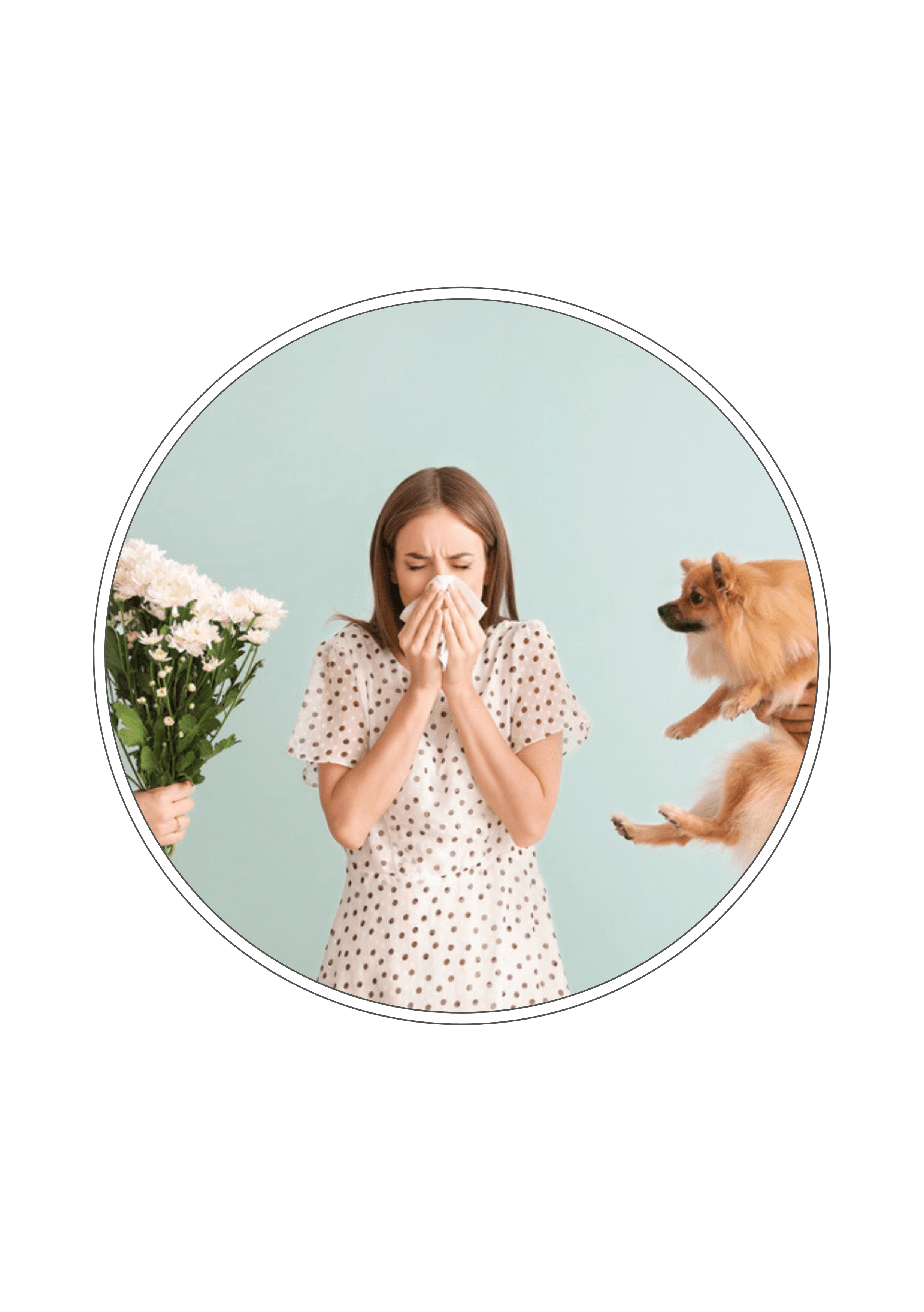 Alergia TEST ALEX – Diagnostyka Alergii Pokarmowych